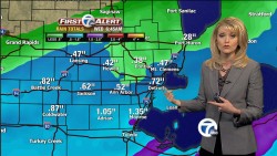 Hally Vogel - WXYZ 7 Detroit - TvNewsCaps